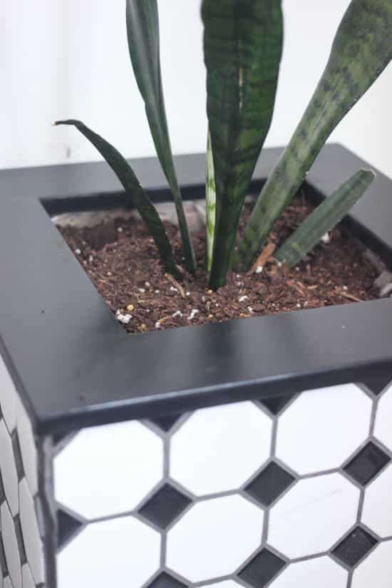 DIY Tiled Planter Boxes Made with Leftover Tile | Love Create Celebrate