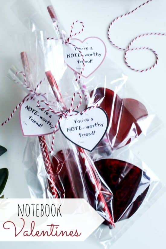Printable Notebook Valentines (with Dollar Store notebooks!) - Lindi & Russ